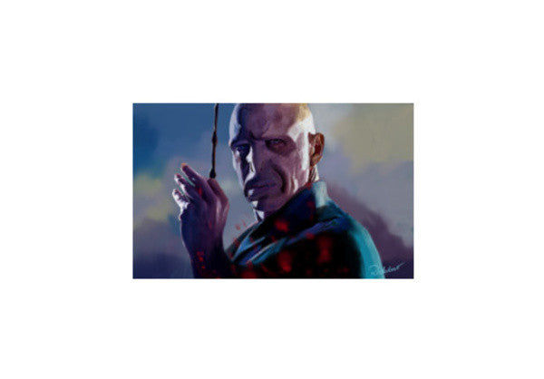 Harry Potter Wall Art – PosterGully