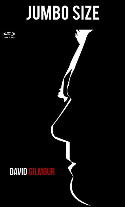 Pink Floyd | David Gilmour | Jumbo Poster| Buy High-Quality Posters and ...