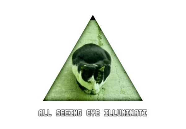All Seeing Eye Illuminati Cat Wall Art – PosterGully